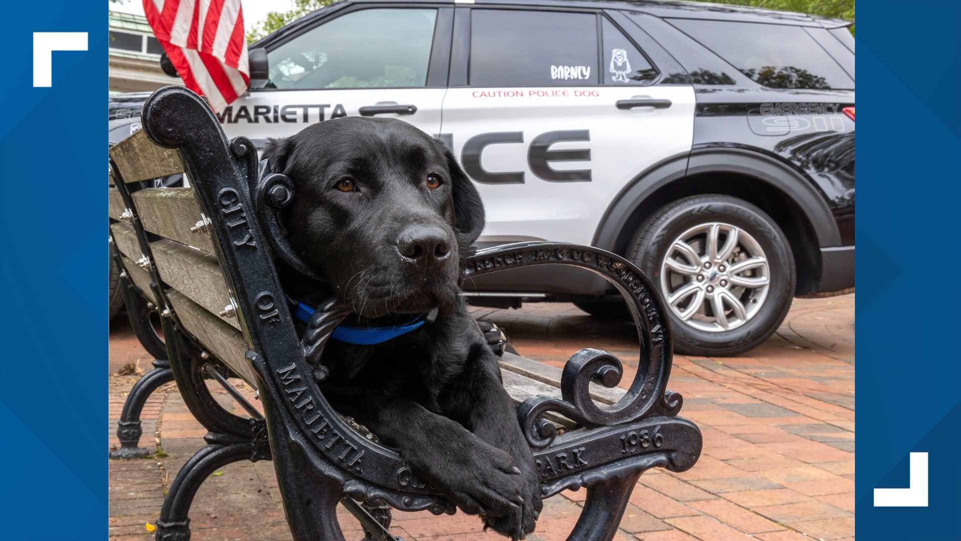Marietta Police K-9 Barney helps woman mental health crisis | 11alive.com