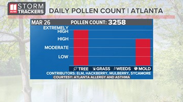 Pollen count to spike in Atlanta | 11alive.com