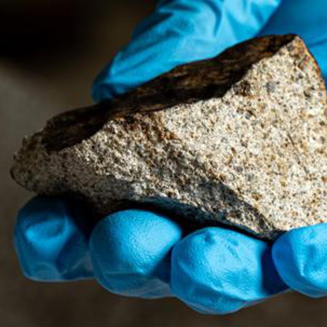 Piece of meteorite that fell over Georgia on June 26 acquired by Tellus ...