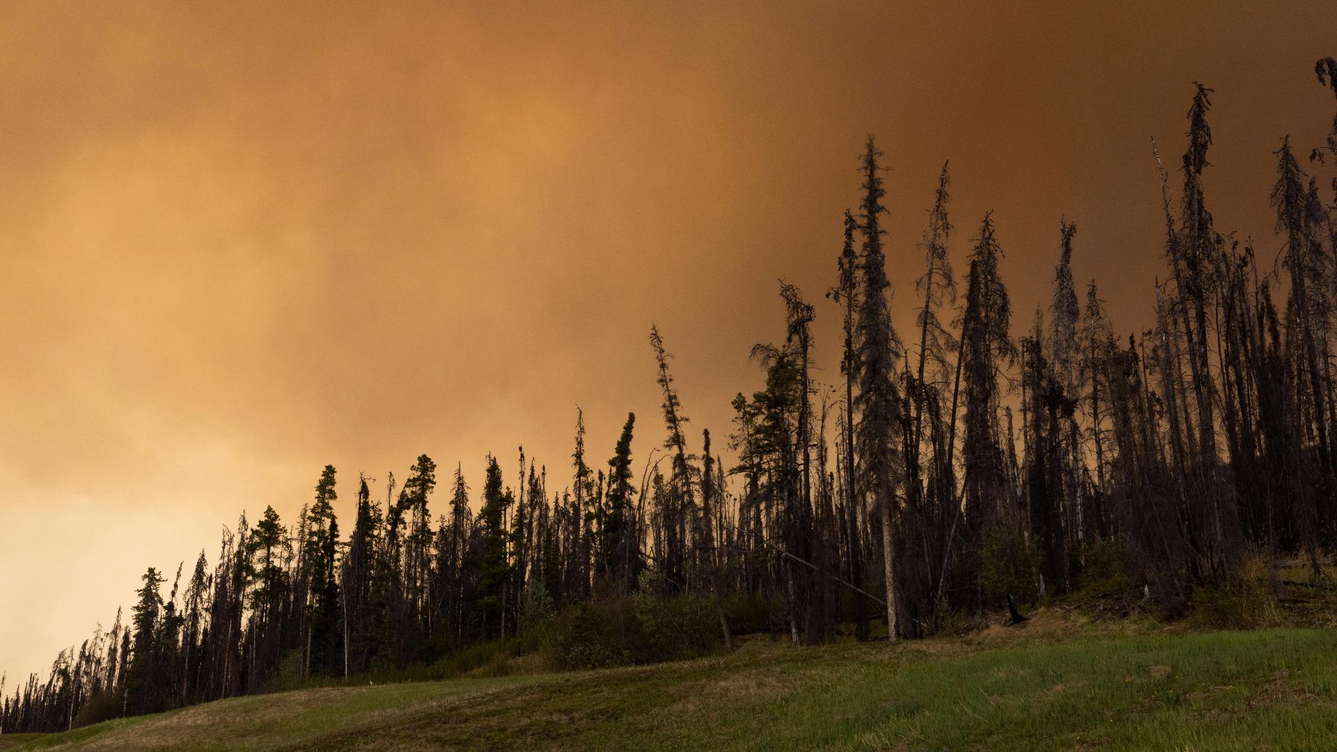 Conyers BioLab chemical fire evacuation zone in place | Updates ...