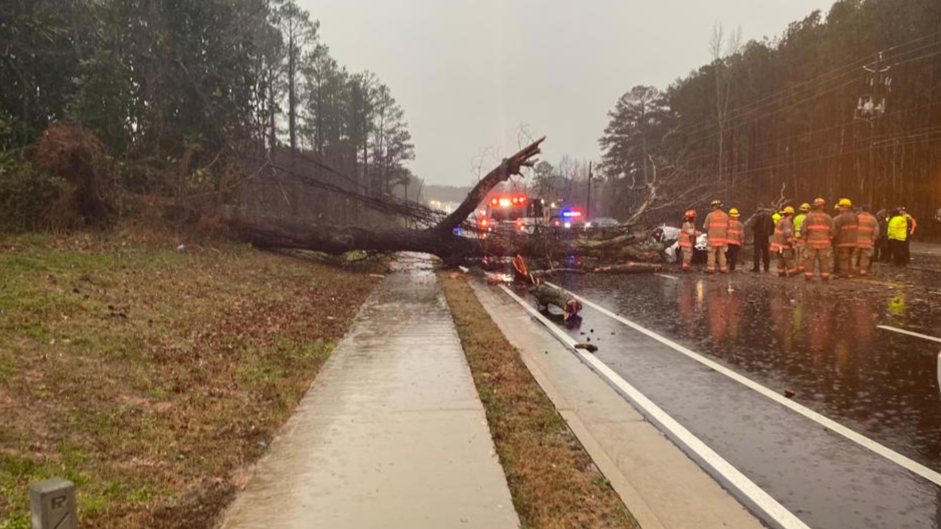 Atlanta weather damage: Tree falls on car in Clayton County wreck ...