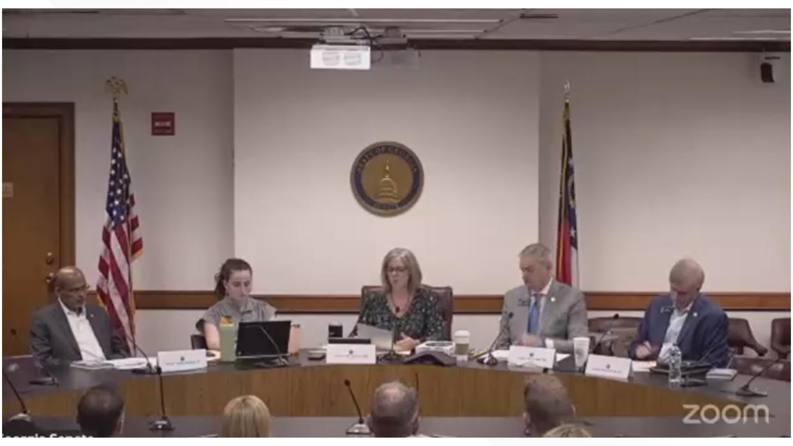Georgia Senate committee studying social media and AI impact on ...