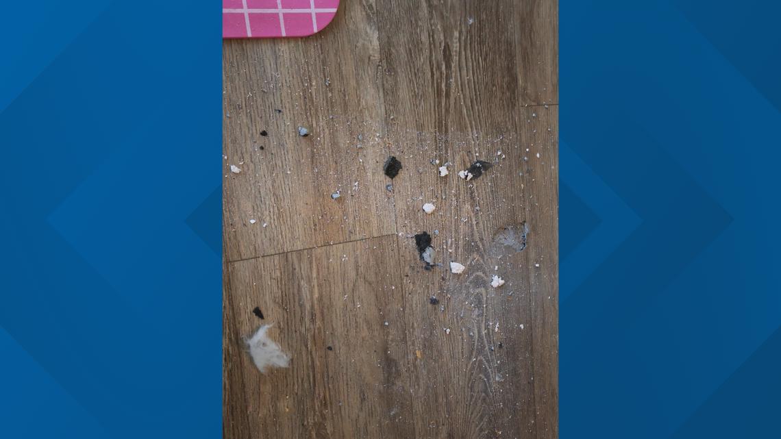 Roof of Henry Count home damaged by possible meteorite | 11alive.com