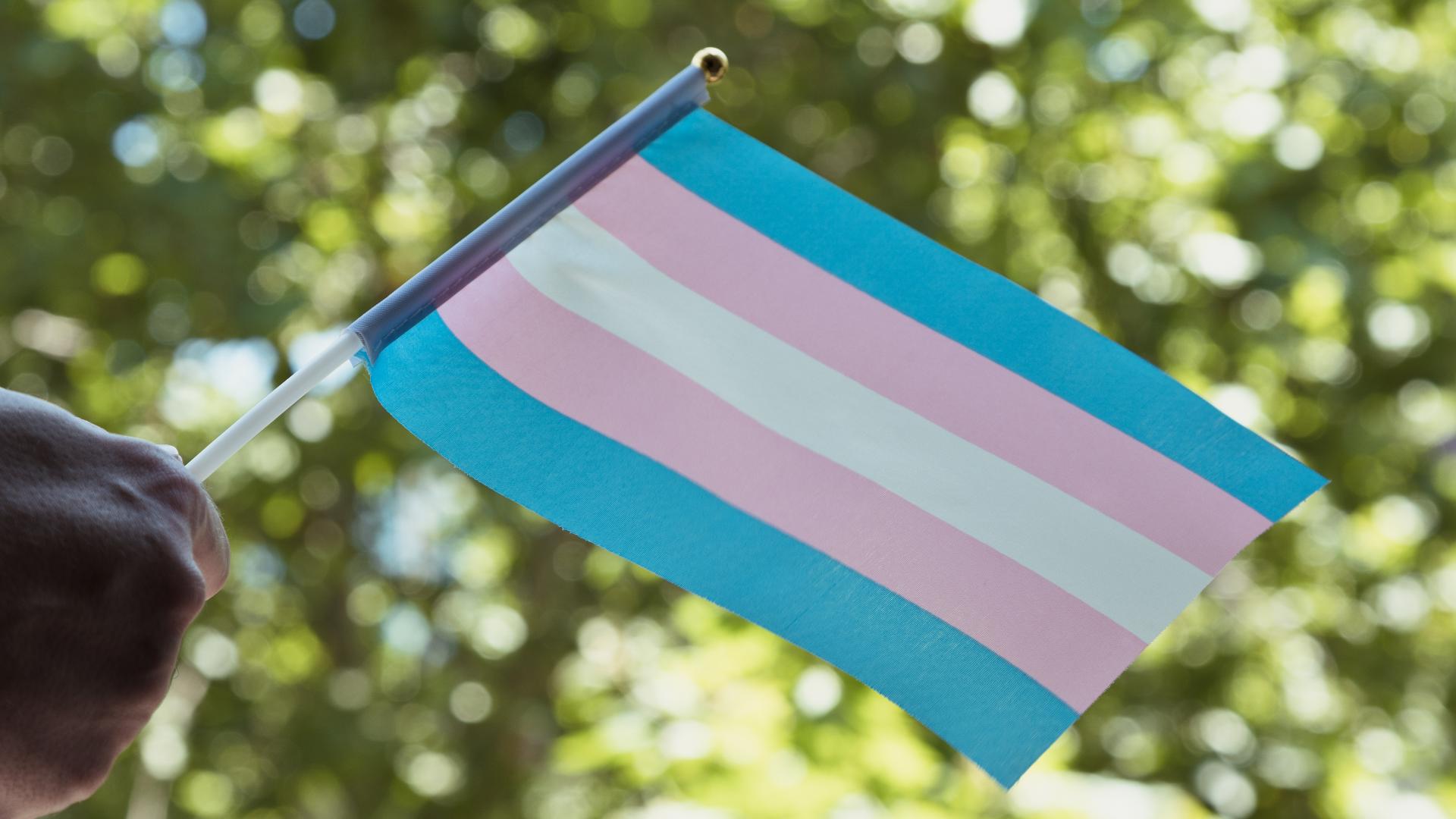 Meet the Georgia Navy veteran behind transgender flag's design ...