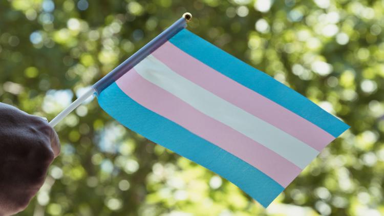 Meet the Georgia Navy veteran behind transgender flag's design ...
