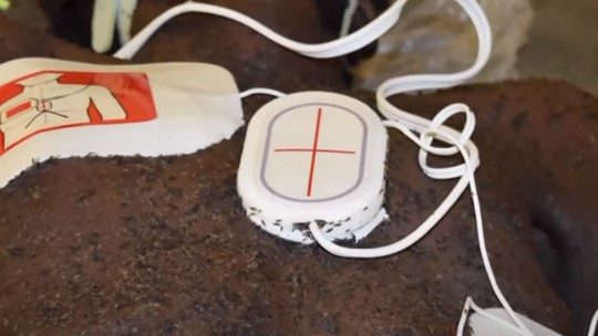 Autopsy results for Lashawn Thompson to be released Monday | 11alive.com