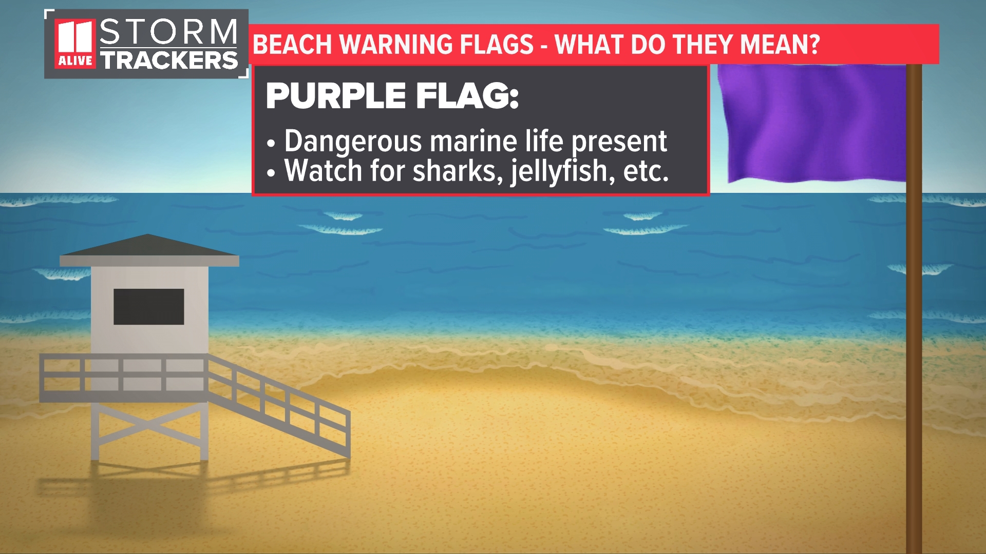 What do different color flags mean at the beach | 11alive.com