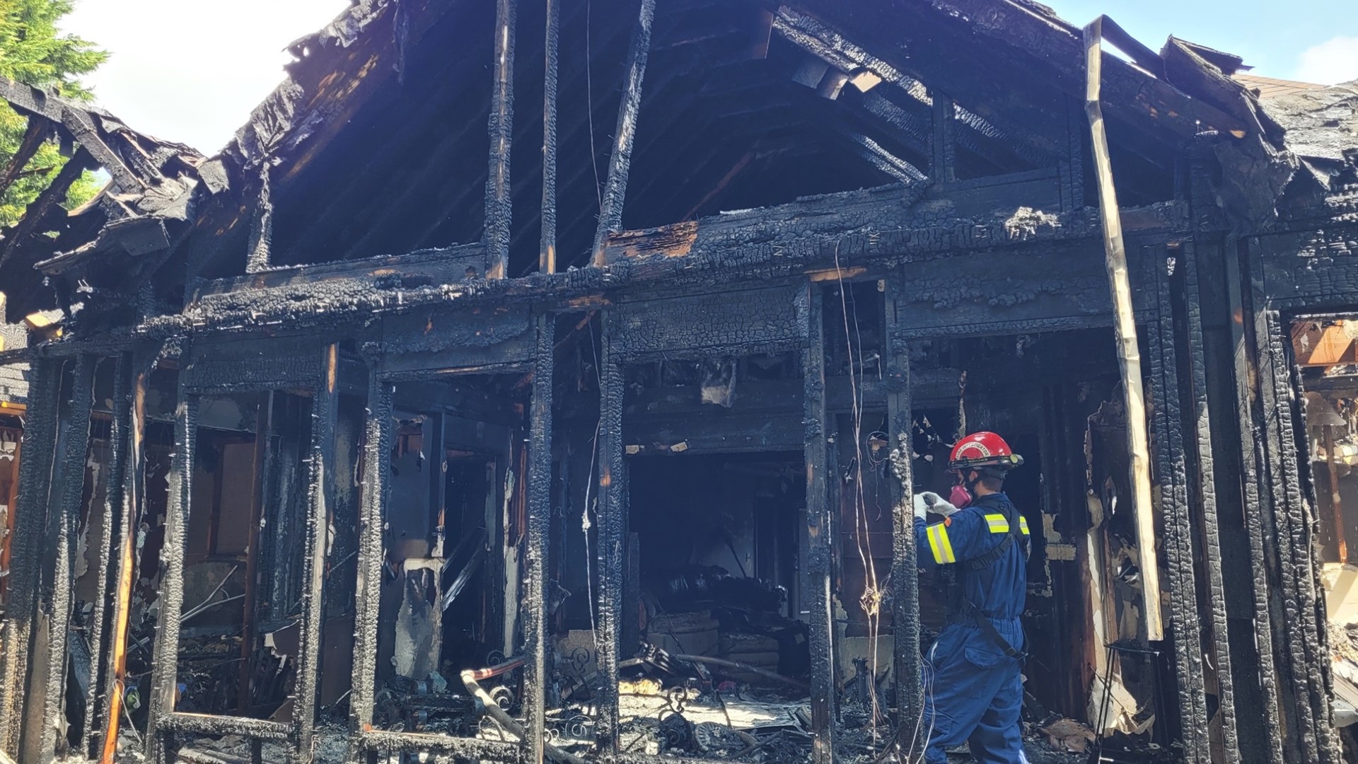 Firefighters save dog and turtle from devastating fire: Officials ...