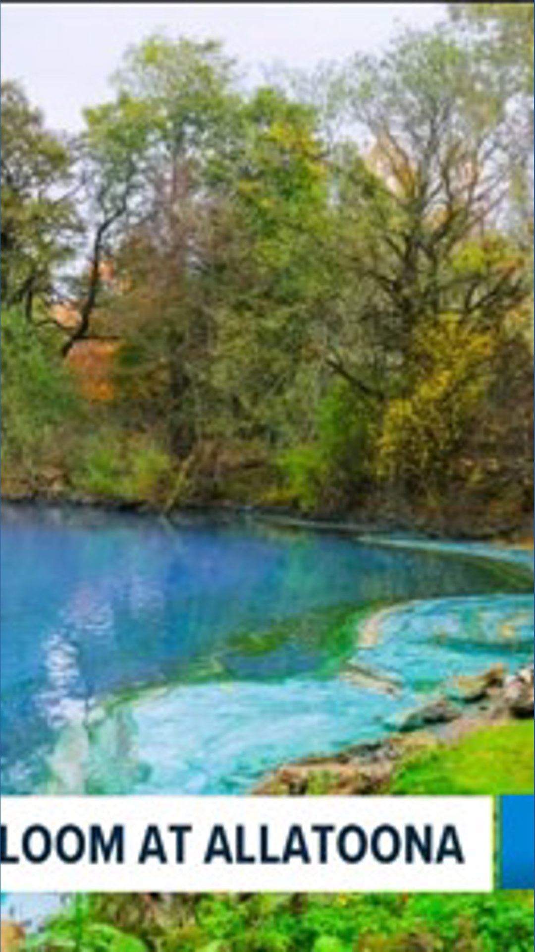 Algae bloom in Lake Allatoona prompts health warnings | 11alive.com