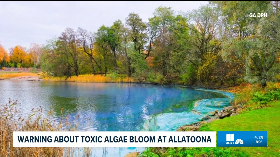 Algae bloom in Lake Allatoona prompts health warnings | 11alive.com