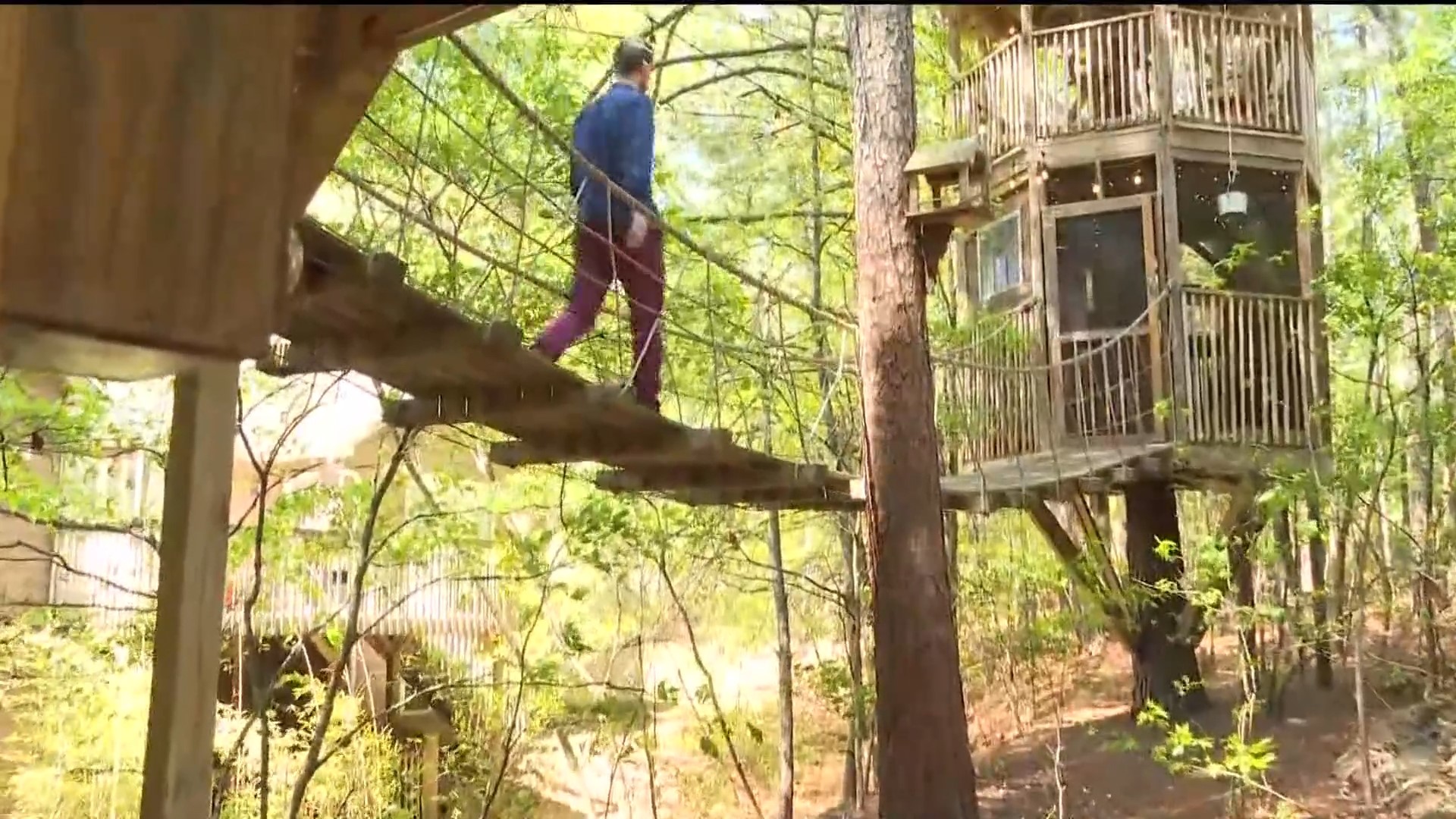 Kennesaw Treasure Hunt Treehouse Airbnb to be demolished | 11alive.com
