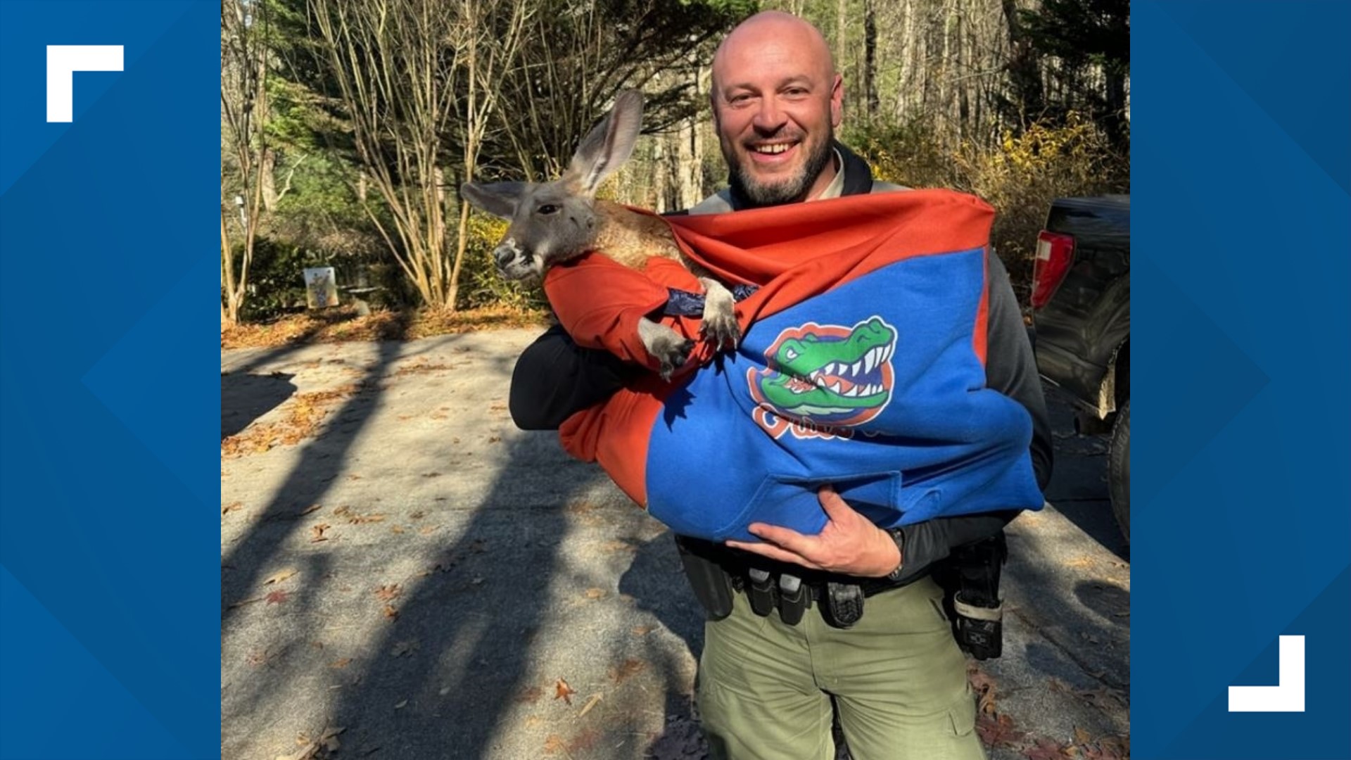 Kangaroo found in north Georgia Ellijay | 11alive.com