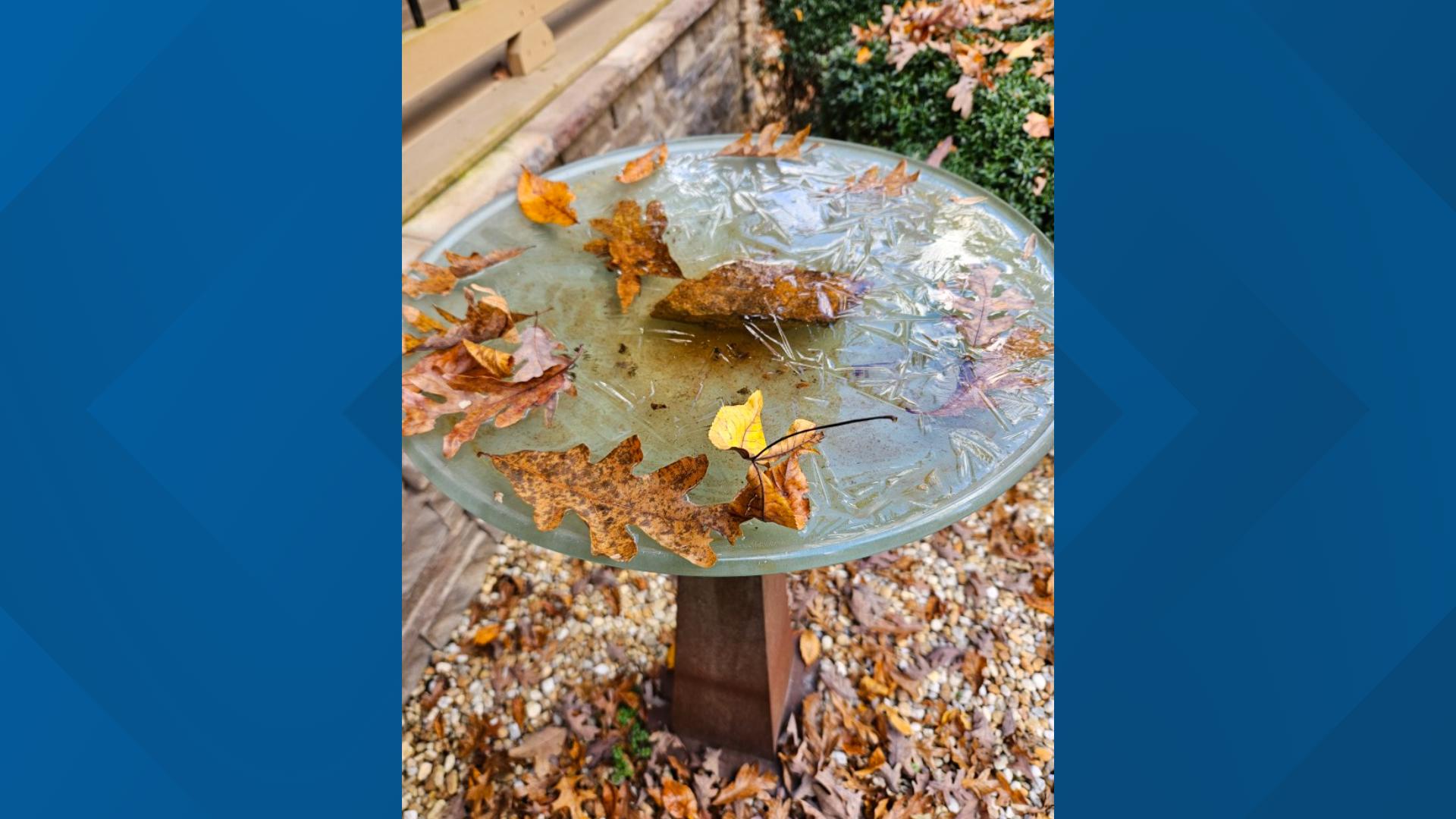 Snow flurries spotted in north Georgia mountains | 11alive.com