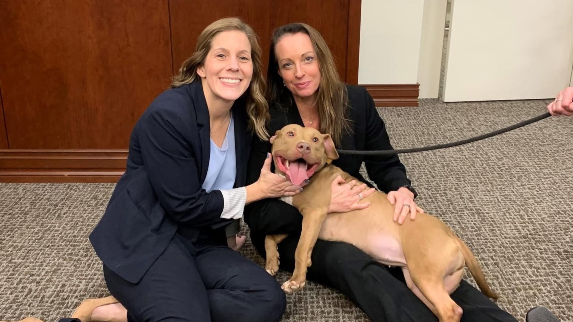 Georgia animal abuse case | Man sentenced to 475 years | 11alive.com