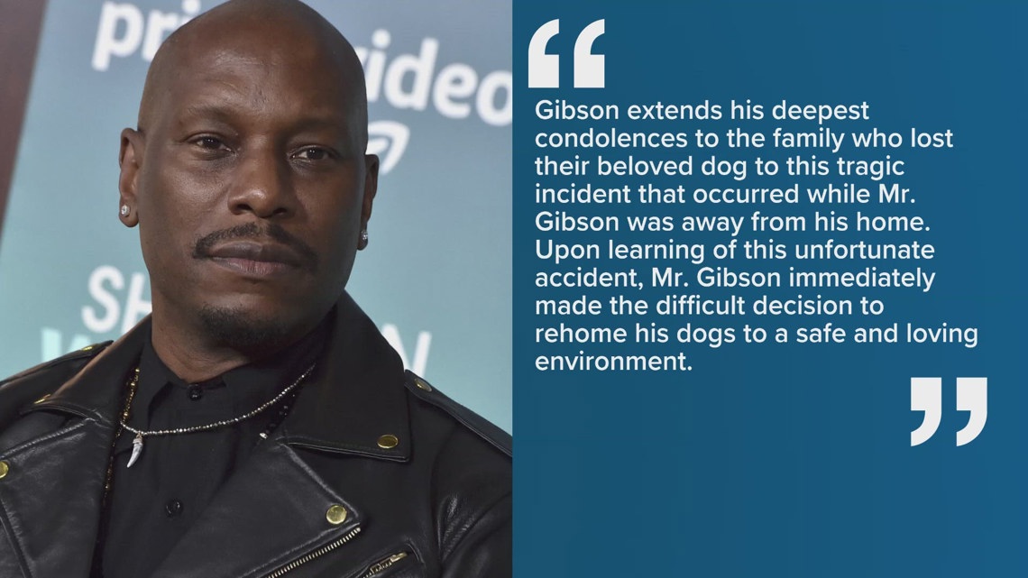 Tyrese Gibson apologizes for dog attack incident | 11alive.com