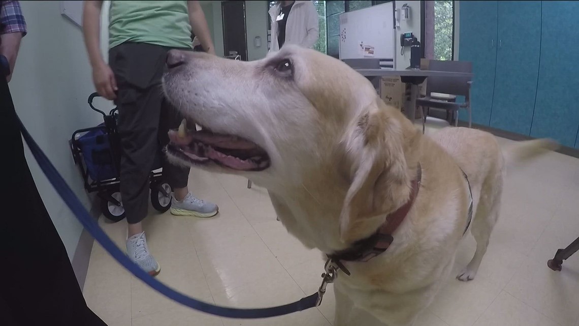 Canines for Kids | Children's Healthcare of Atlanta | 11alive.com
