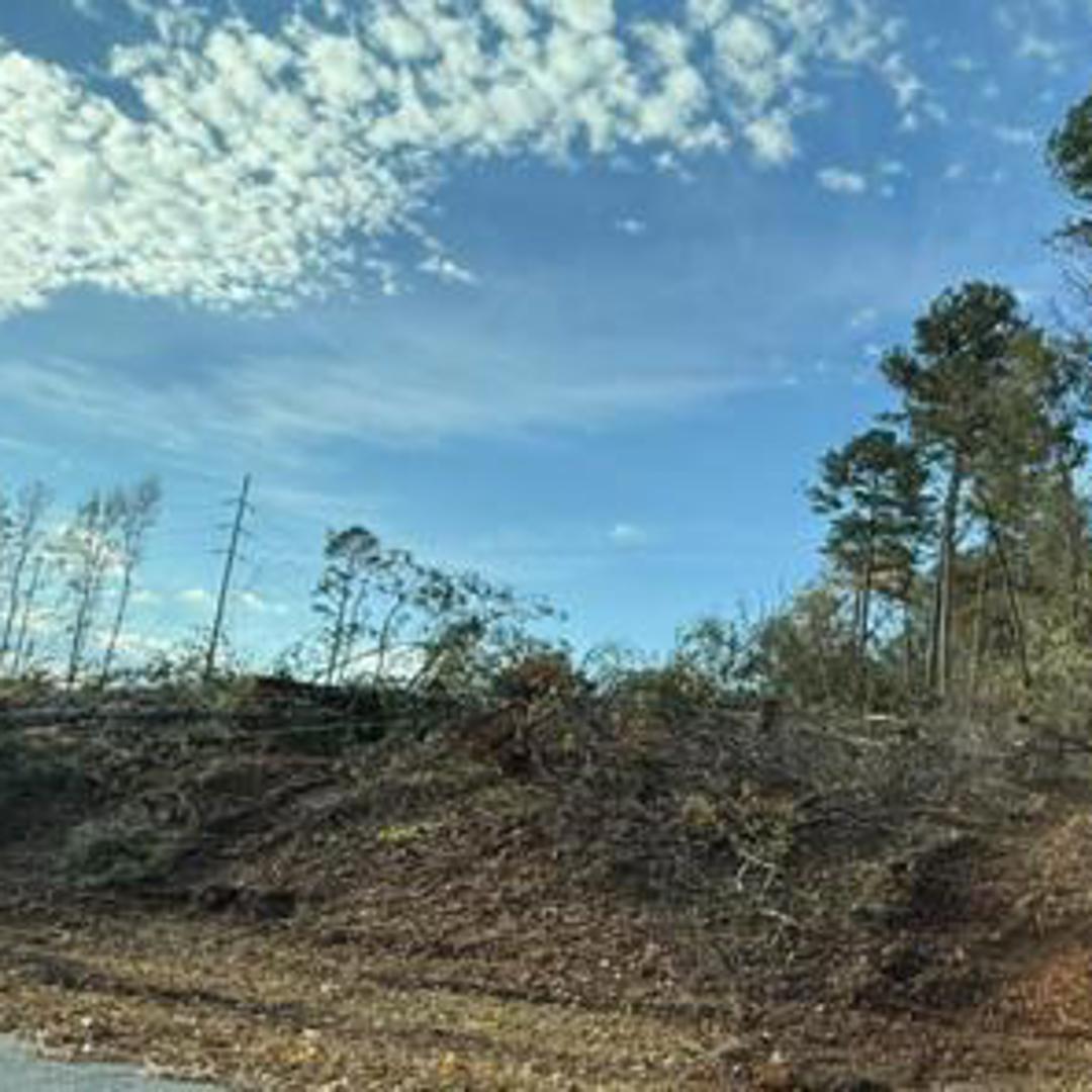 Tree clearing signals start of massive $4.6 billion Georgia 400 ...