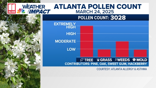 What was the pollen count today | 11alive.com