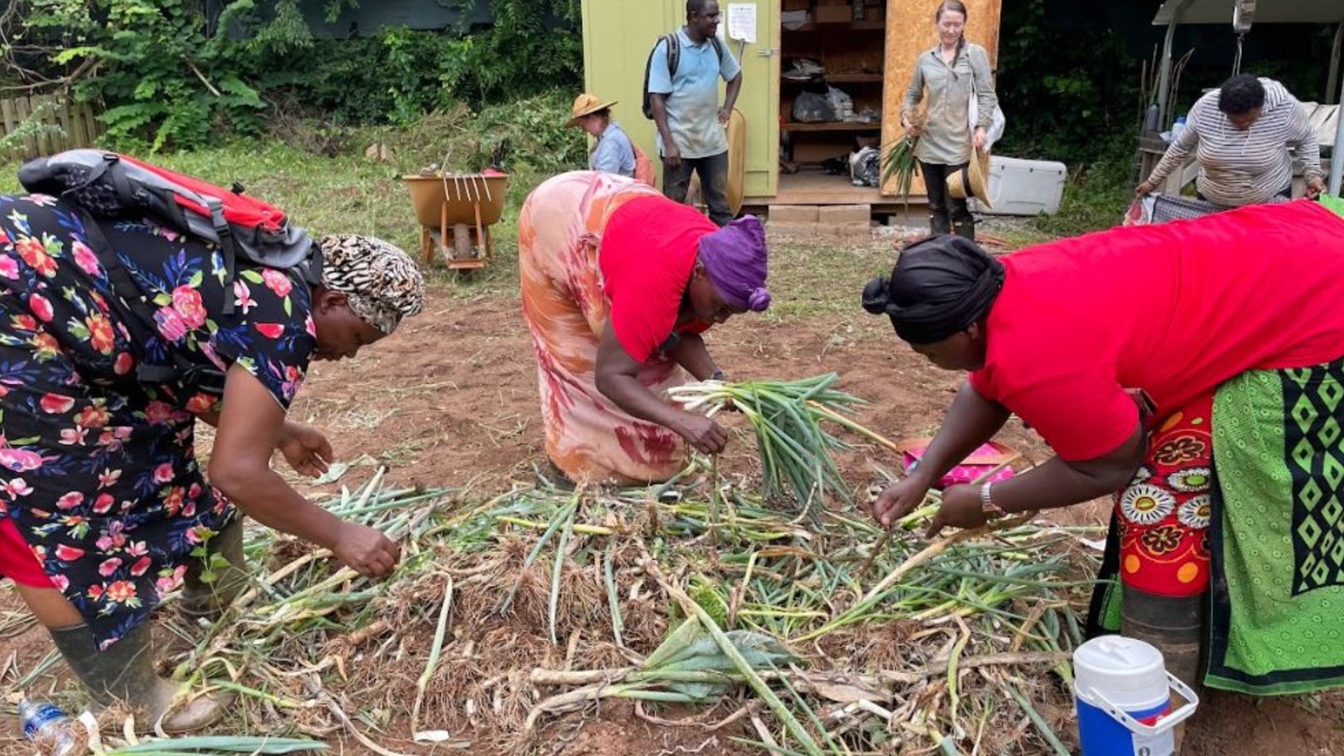 East African farmers to sell first harvest at MARTA's new farm ...