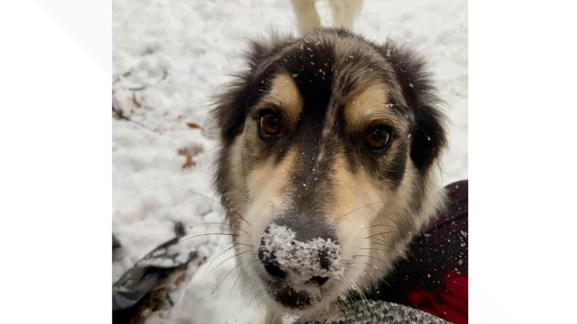 Photos: Winter storm transforms metro Atlanta into a snowy scene ...