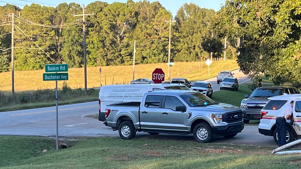 Teens killed in house fire in Paulding County | 11alive.com