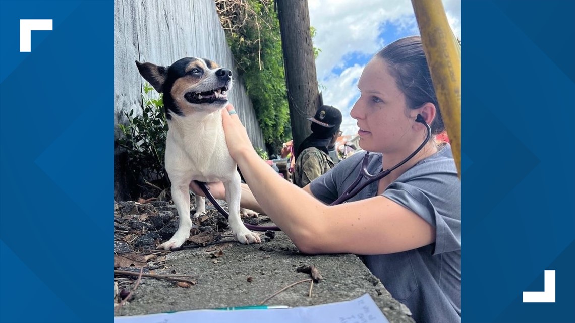 Photos | Dr. Kristen Schmidt with Project Street Vet Atlanta | 11alive.com