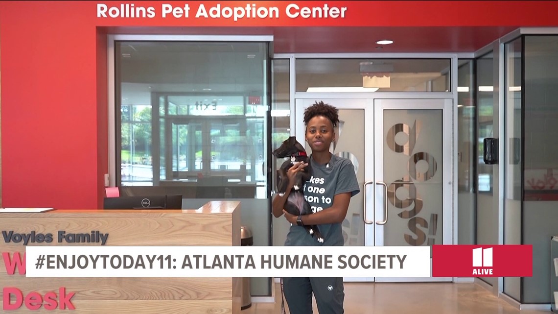 Enjoy Today | Local spotlight from Atlanta Humane Society | 11alive.com