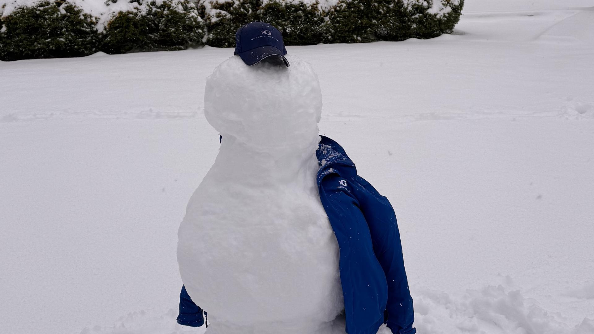 Georgia Aquarium closed | Animals have snow day anyway | 11alive.com