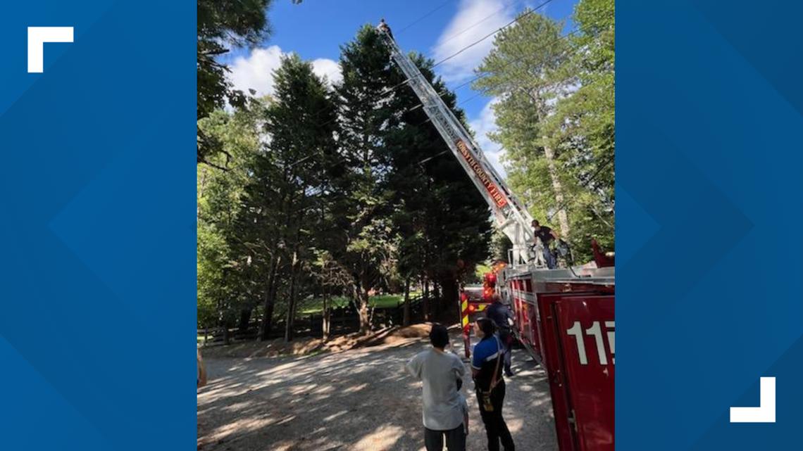 Firefighters rescue 6-year-old from 60-foot tree in Forsyth County ...