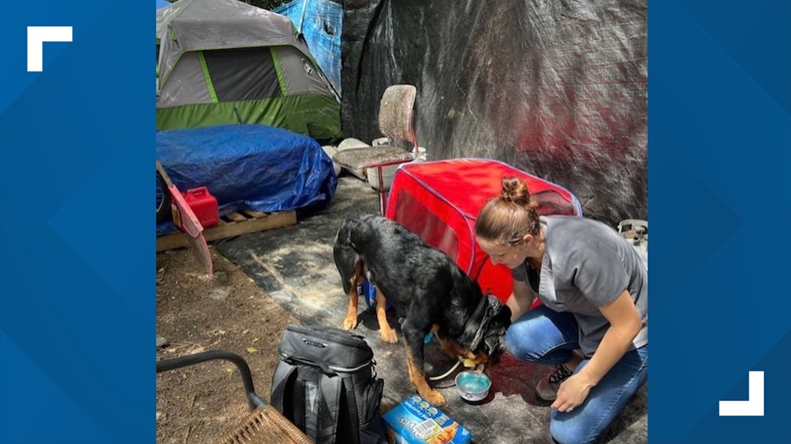 Project Street Vet Atlanta helps pets with homeless owners | 11alive.com