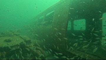 Video | MARTA rail cars repurposed into thriving underwater reefs ...