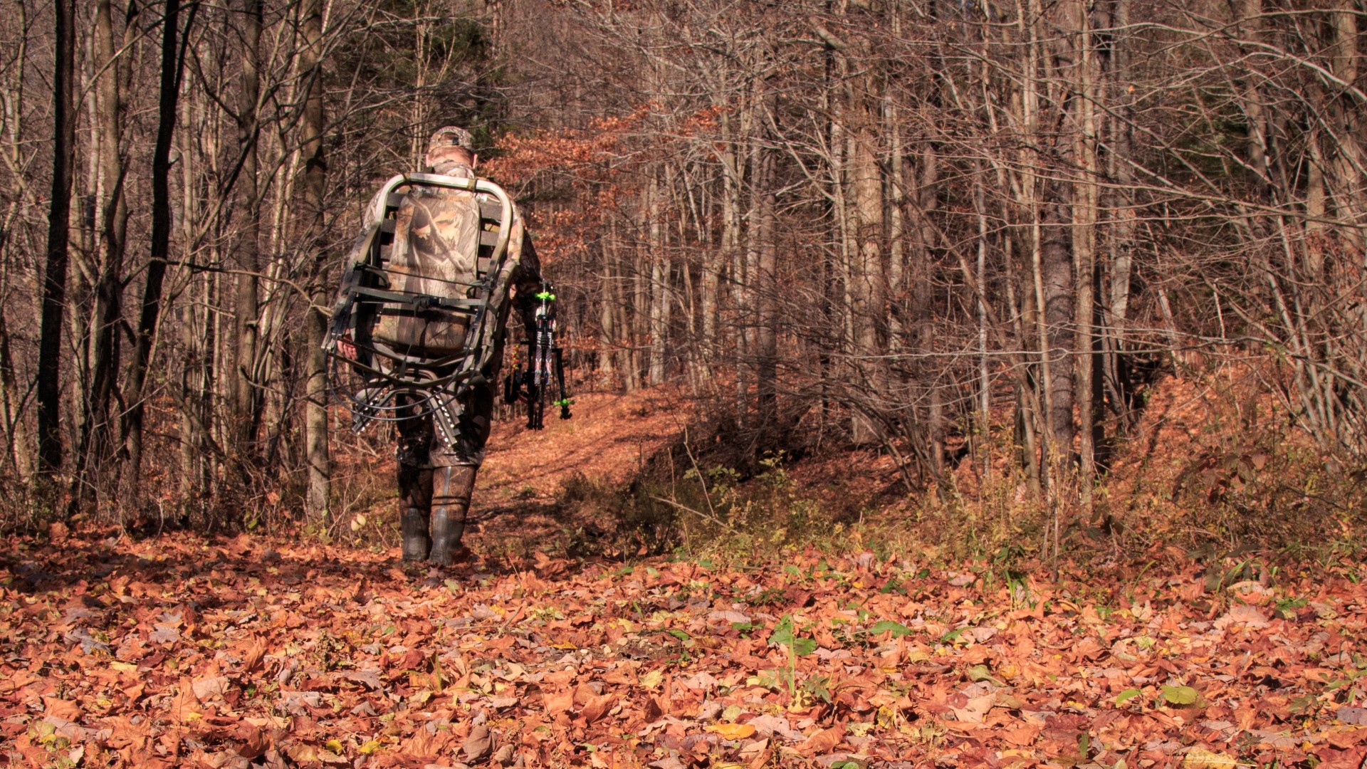 New Georgia hunting and fishing laws that go into effect July 1 ...