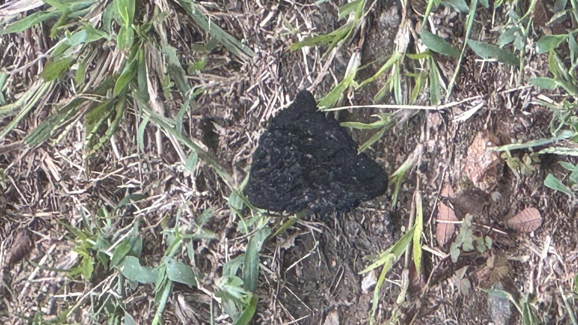 BioLab fire in Rockdale County | What we know | 11alive.com