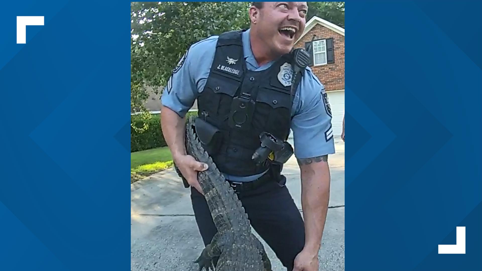 Chatham County gator captured video | 11alive.com