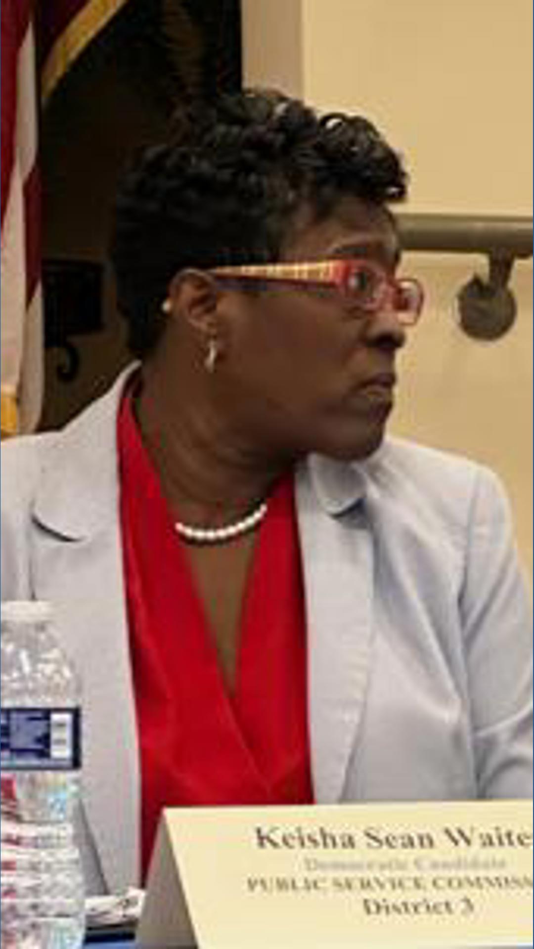 Georgia Public Service Commission Democratic primary runoff today ...
