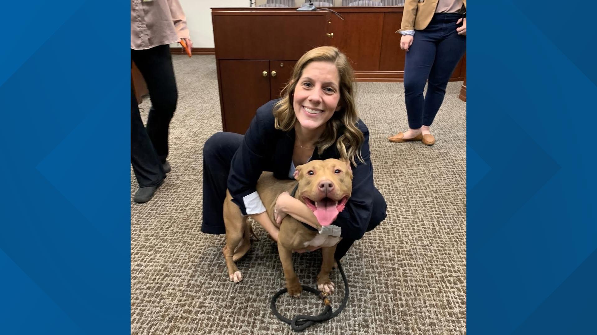 Georgia animal abuse case | Man sentenced to 475 years | 11alive.com