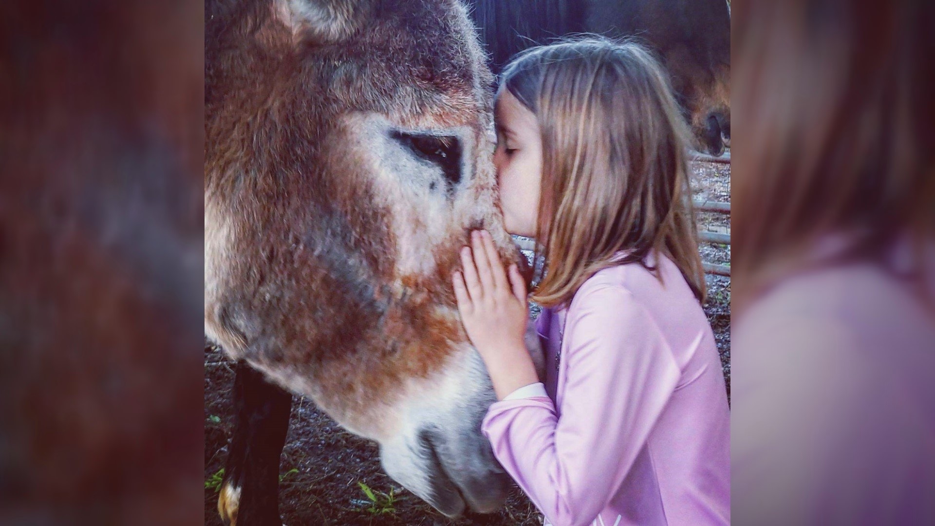 Did your child change after strep? They might have PANDAS. | 11alive.com