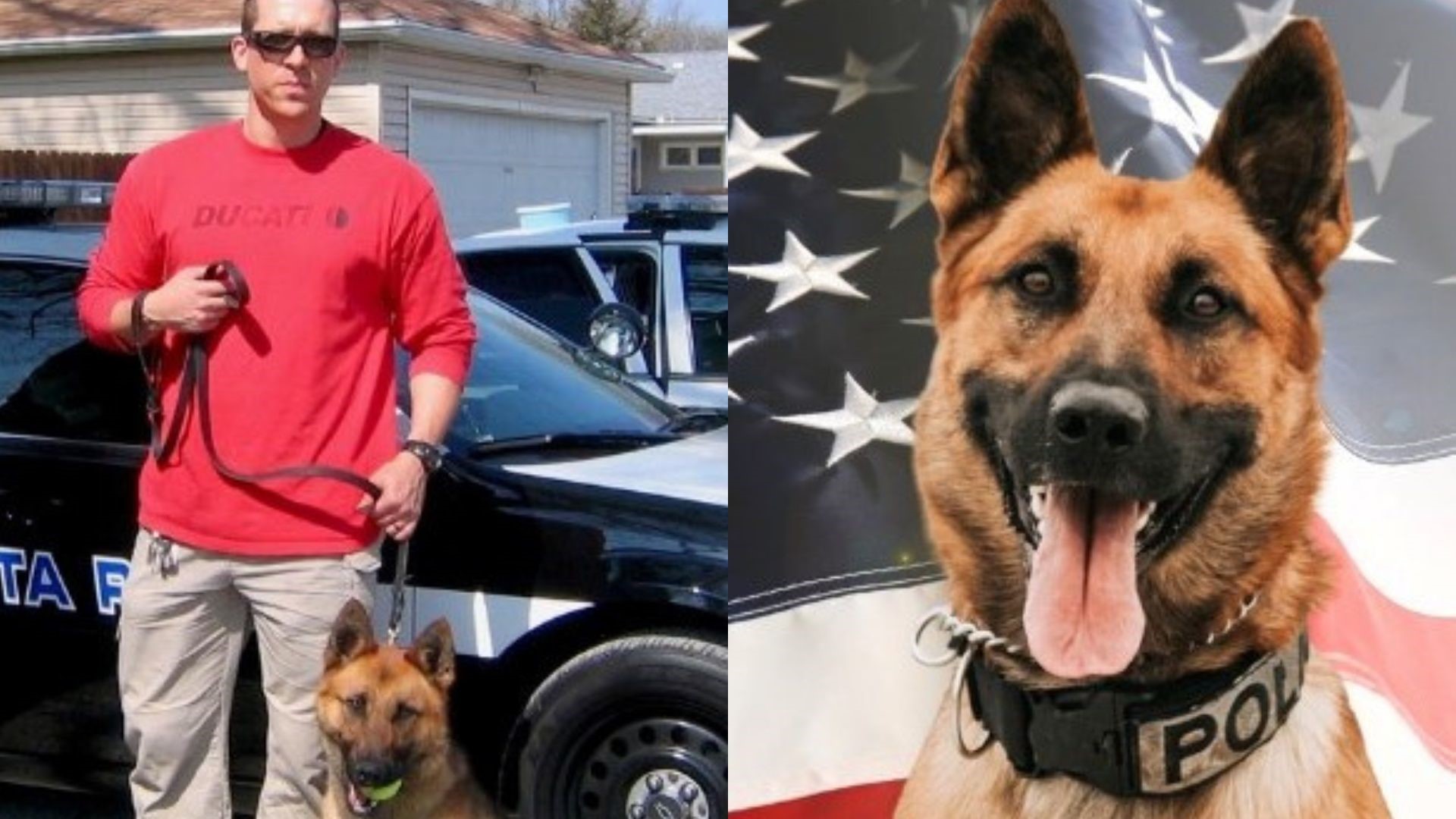 K-9 Officer Arnold dies in Alpharetta | 11alive.com