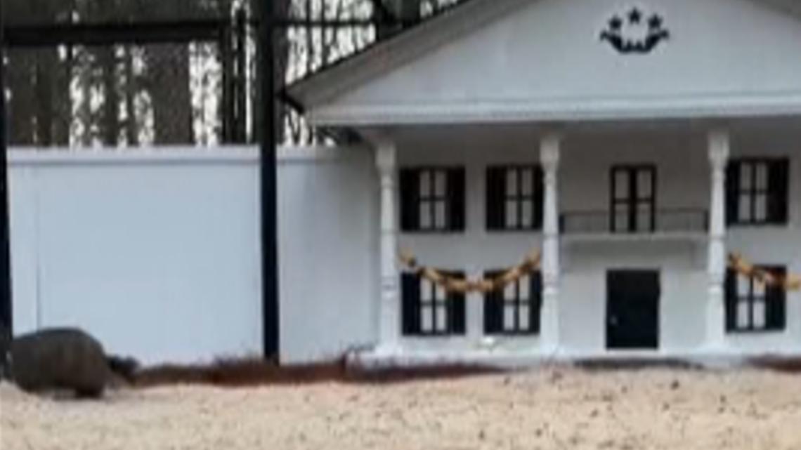 FULL GROUNDHOG DAY PREDICTION | Did Georgia's General Beauregard Lee ...