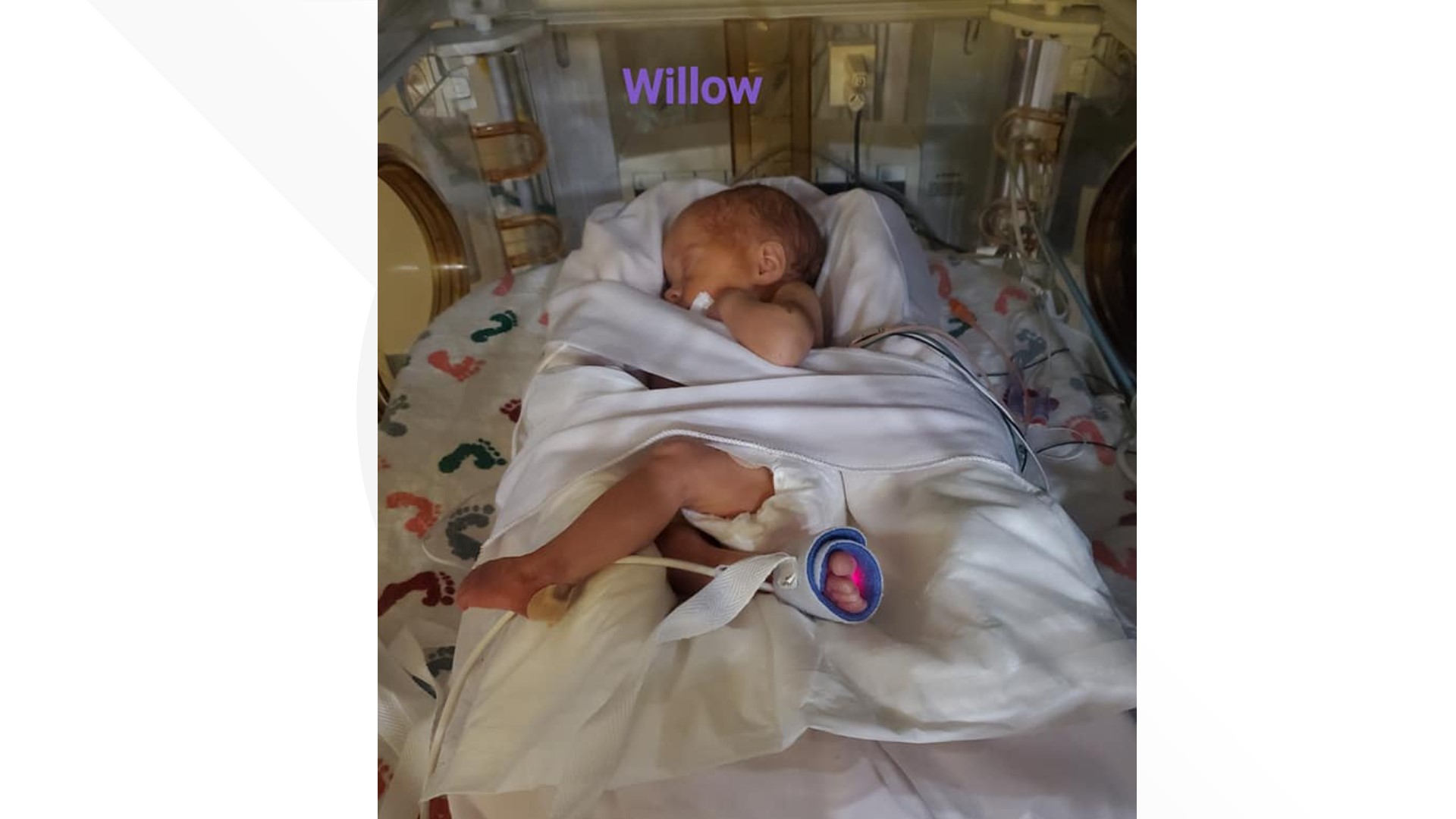 Georgia mom says formula feeding helped kill her newborn | 11alive.com