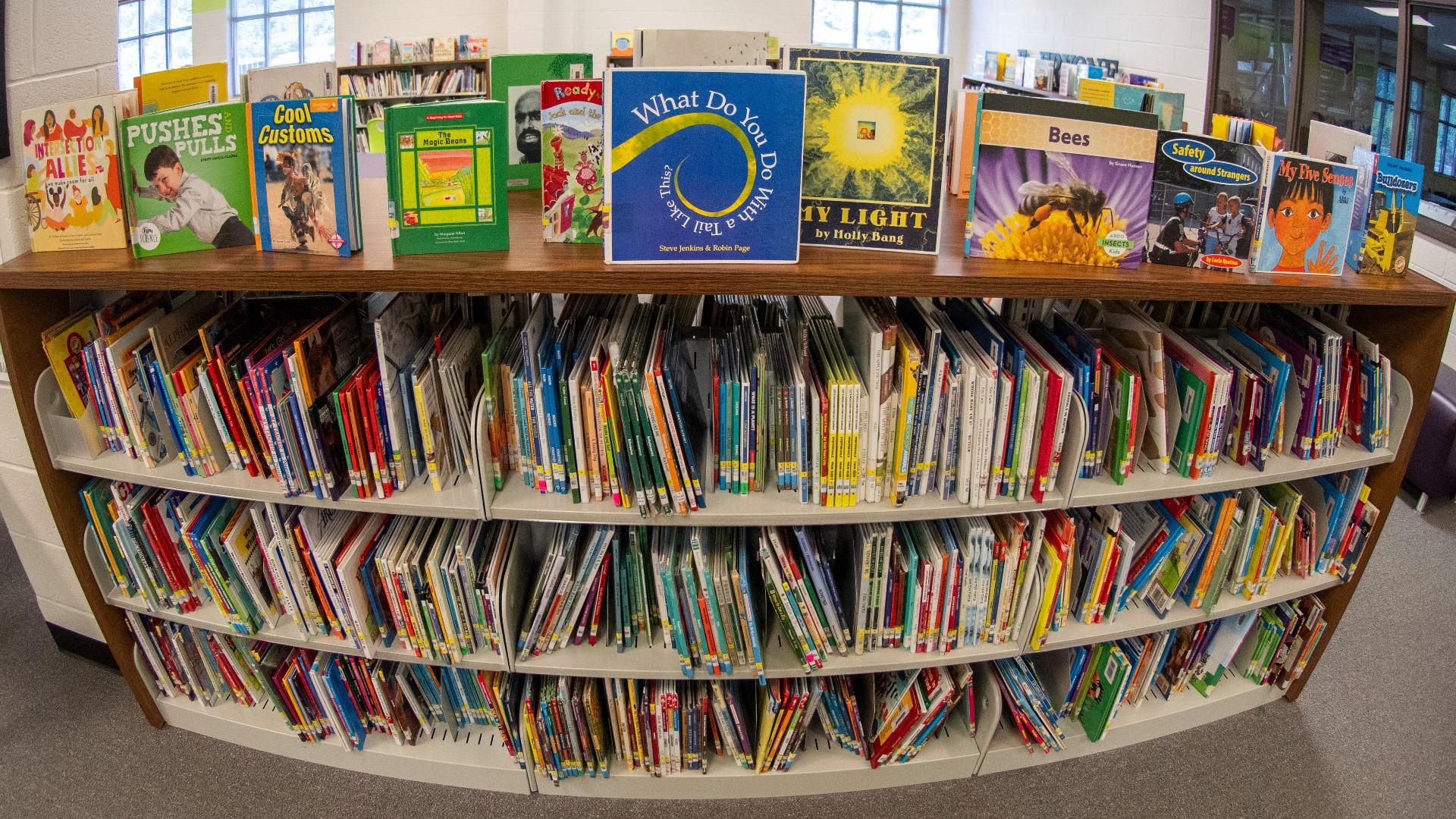 Georgia book ban in public school libraries | 11alive.com