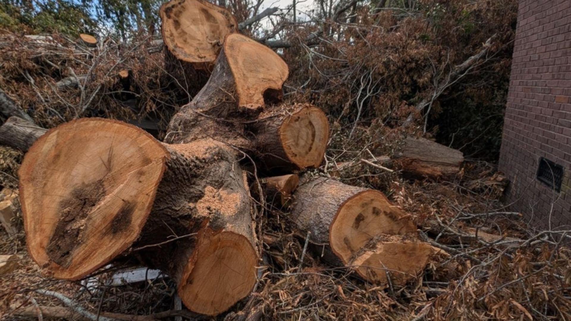 Helene impacts still felt by Georgians | 11alive.com