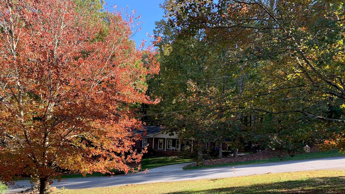Here's where you can see fall leaves in Georgia | 11alive.com