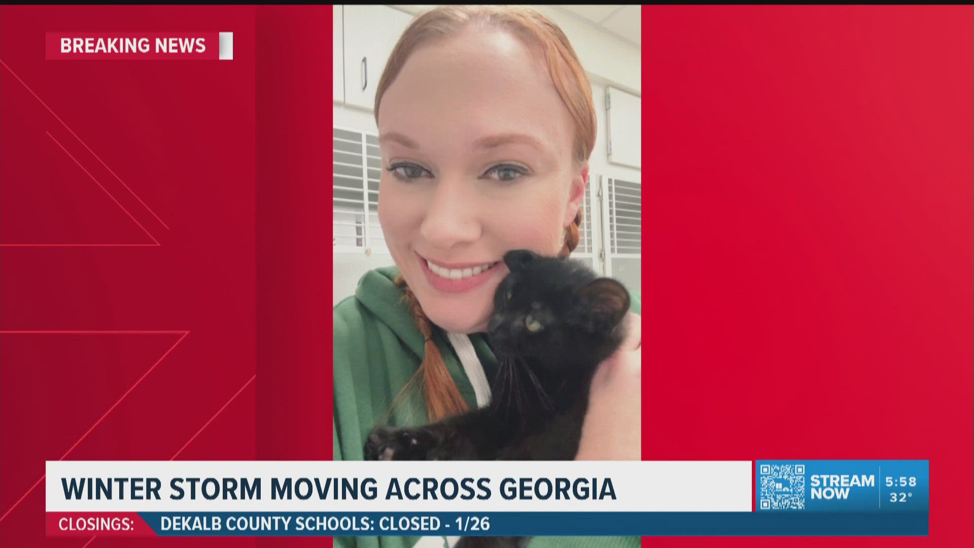 Thanks to LifeLife Animal Project volunteers amid winter storm ...