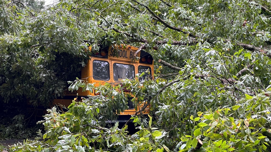 Tree crash on Atlanta school bus | Beecher Street West End | 11alive.com