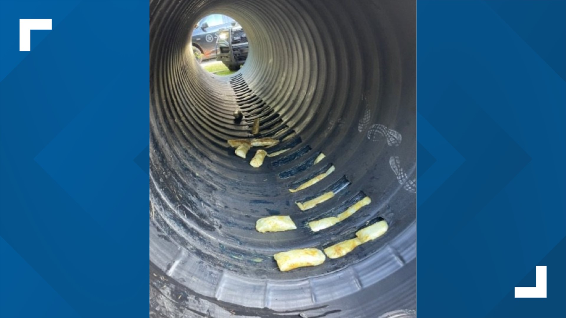 Meth bust in Merriweather County, Georgia | 3,000 pounds seized ...