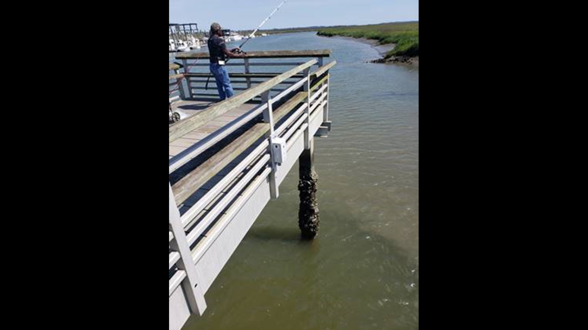 Smart Sea Level Sensors | 11alive.com