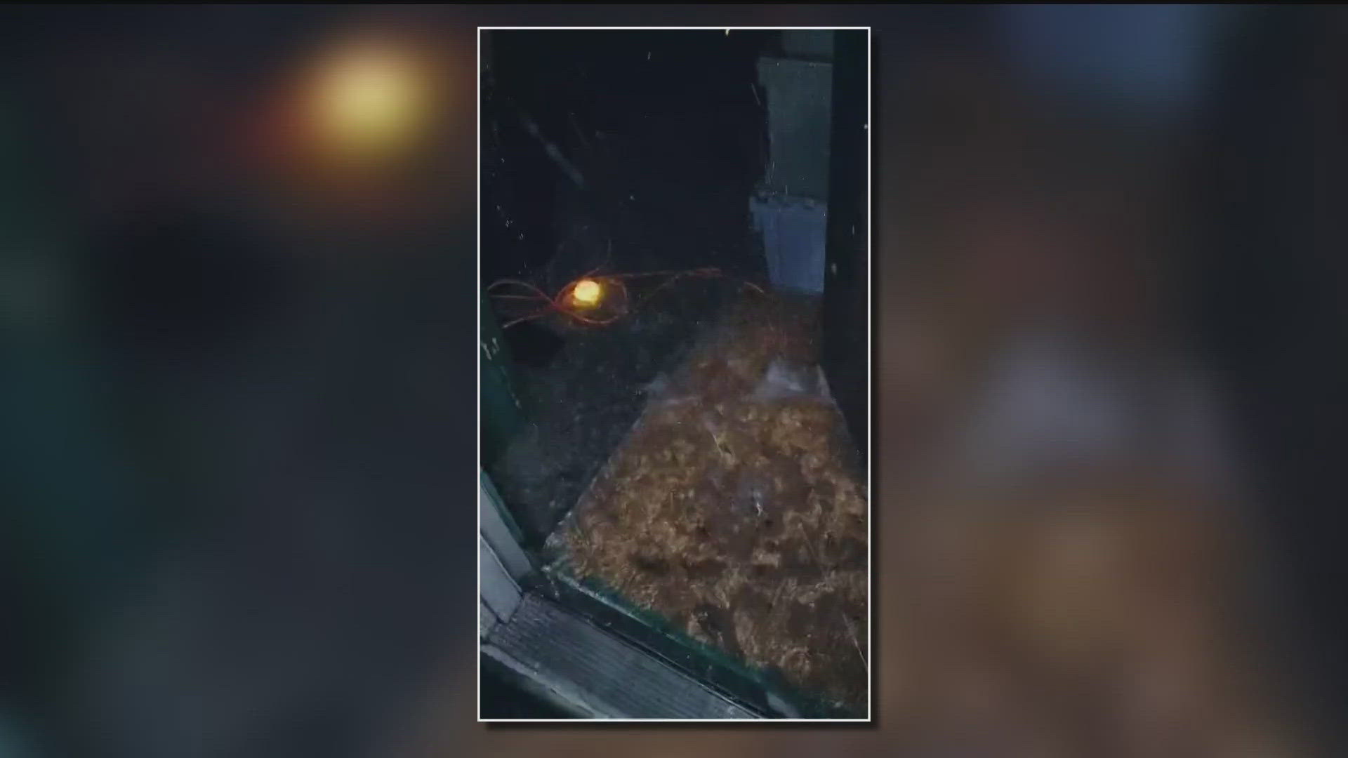 Stray bullet bursts pipe in wrong Atlanta apartment | 11alive.com