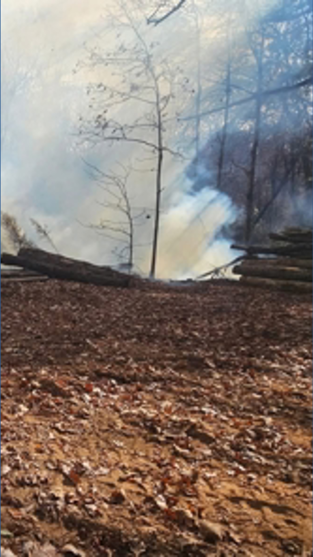 Fire crews in Barrow County battle large brush fire | 11alive.com