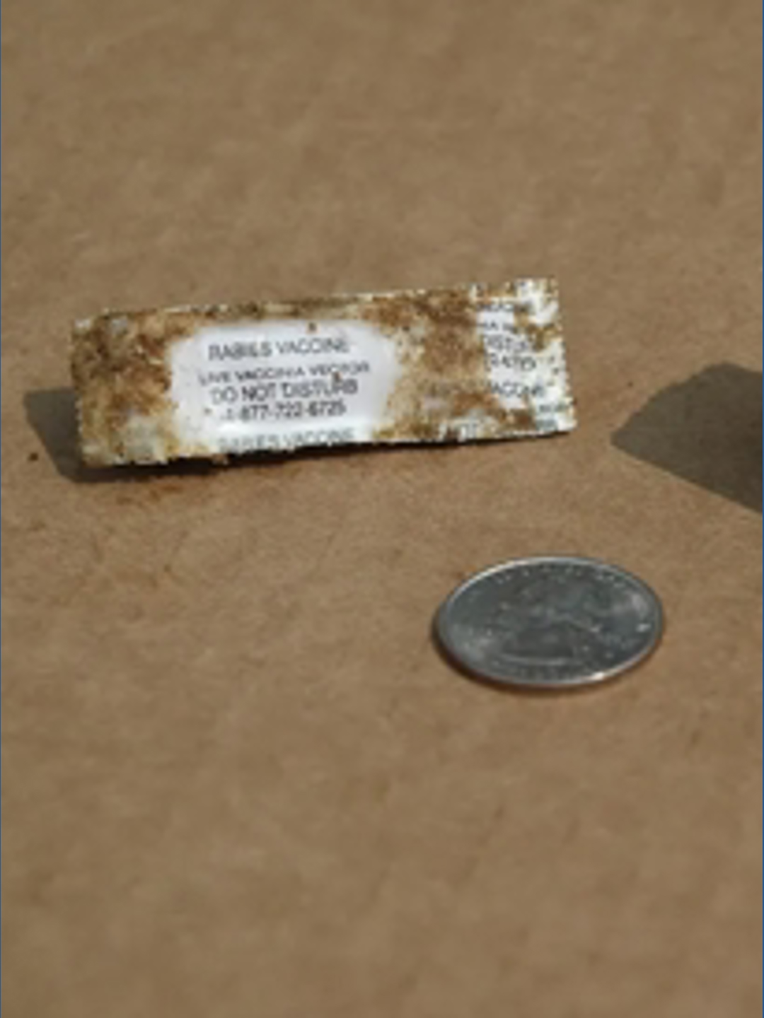 USDA launches annual rabies vaccine drop across Georgia and the ...